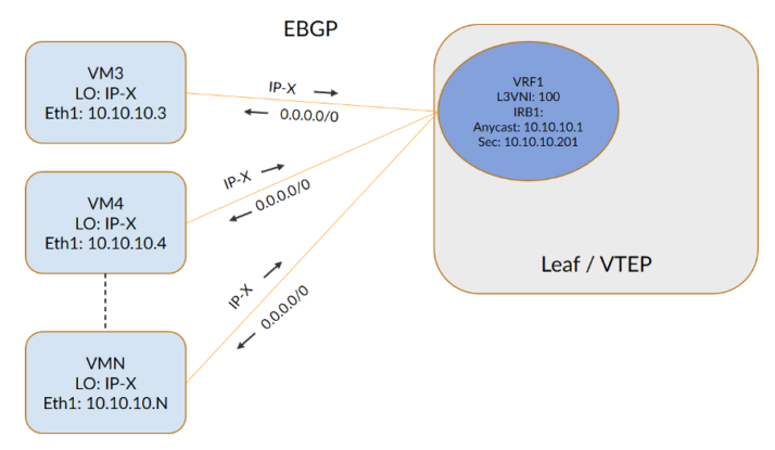 IP Infusion Overlay ECMP 2 IP Infusion