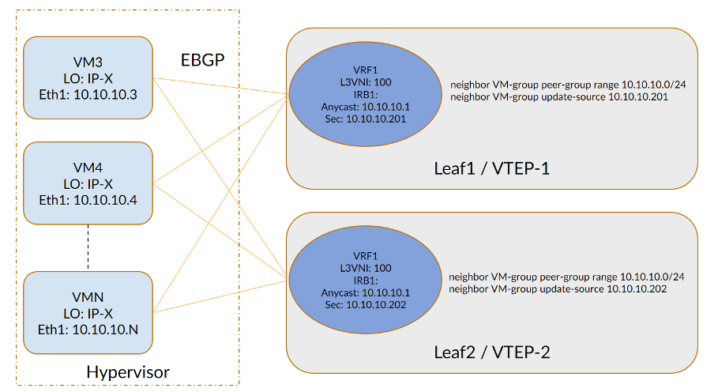 IP Infusion Overlay ECMP 2 IP Infusion