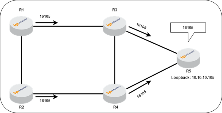 Segment Routing (SR): Understanding the WHY, WHAT, and HOW IP Infusion