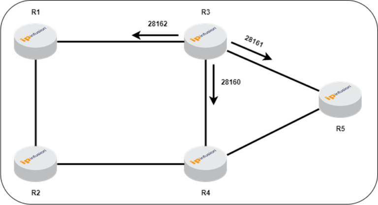 Segment Routing (SR): Understanding the WHY, WHAT, and HOW IP Infusion