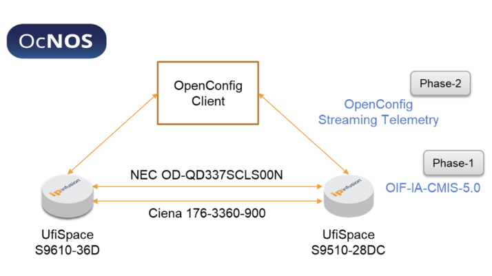 TIP IPoDWDM PoC Completion IP Infusion
