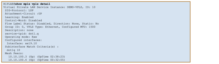 Deploying Virtual Private LAN IP Infusion