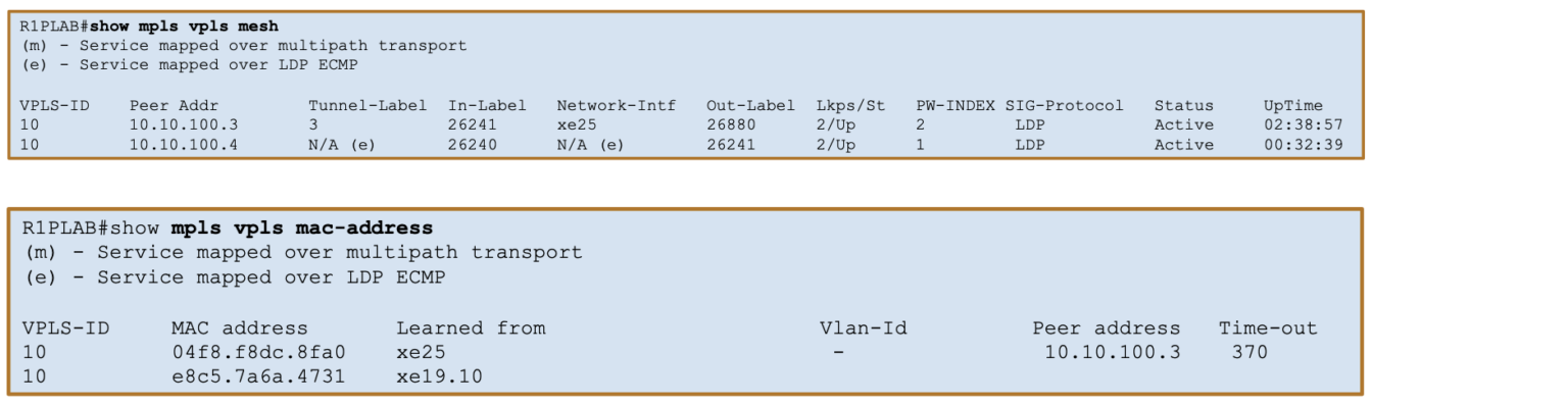 Deploying Virtual Private LAN IP Infusion